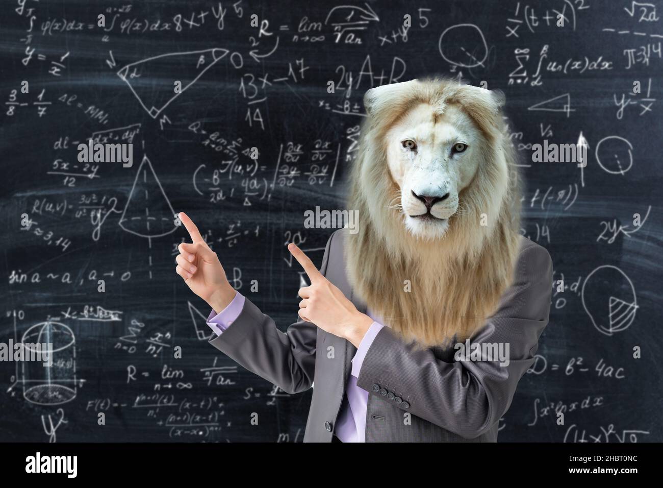 scientist with a lion's head near the blackboard with formulas Stock ...