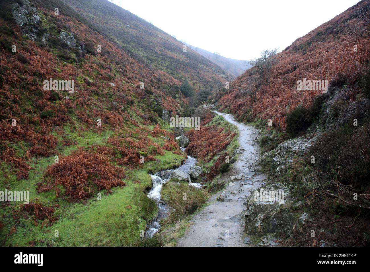 Carding mill winter hi-res stock photography and images - Alamy