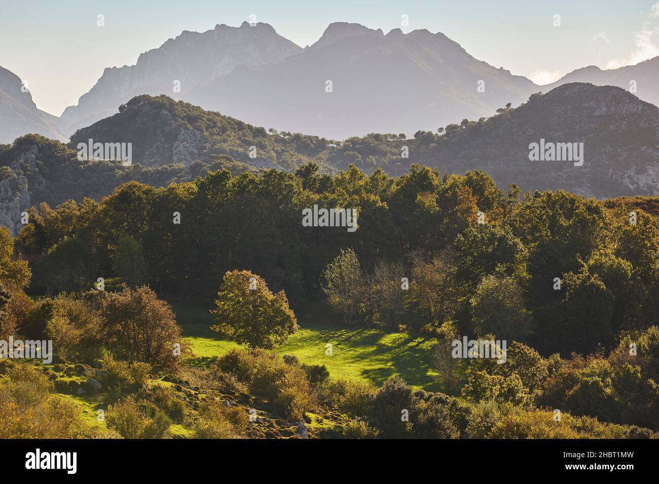 Fall forest landscape in Asturias. Picos Europa. Spain, Europe Stock ...