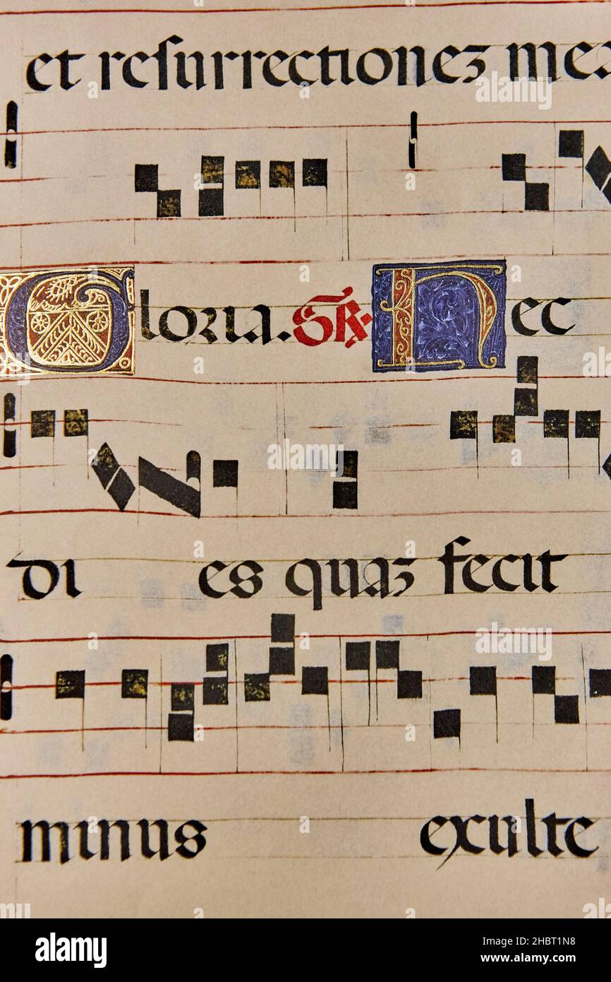 Ancient latin handwritten calligraphy. Antique old letter manuscript ...