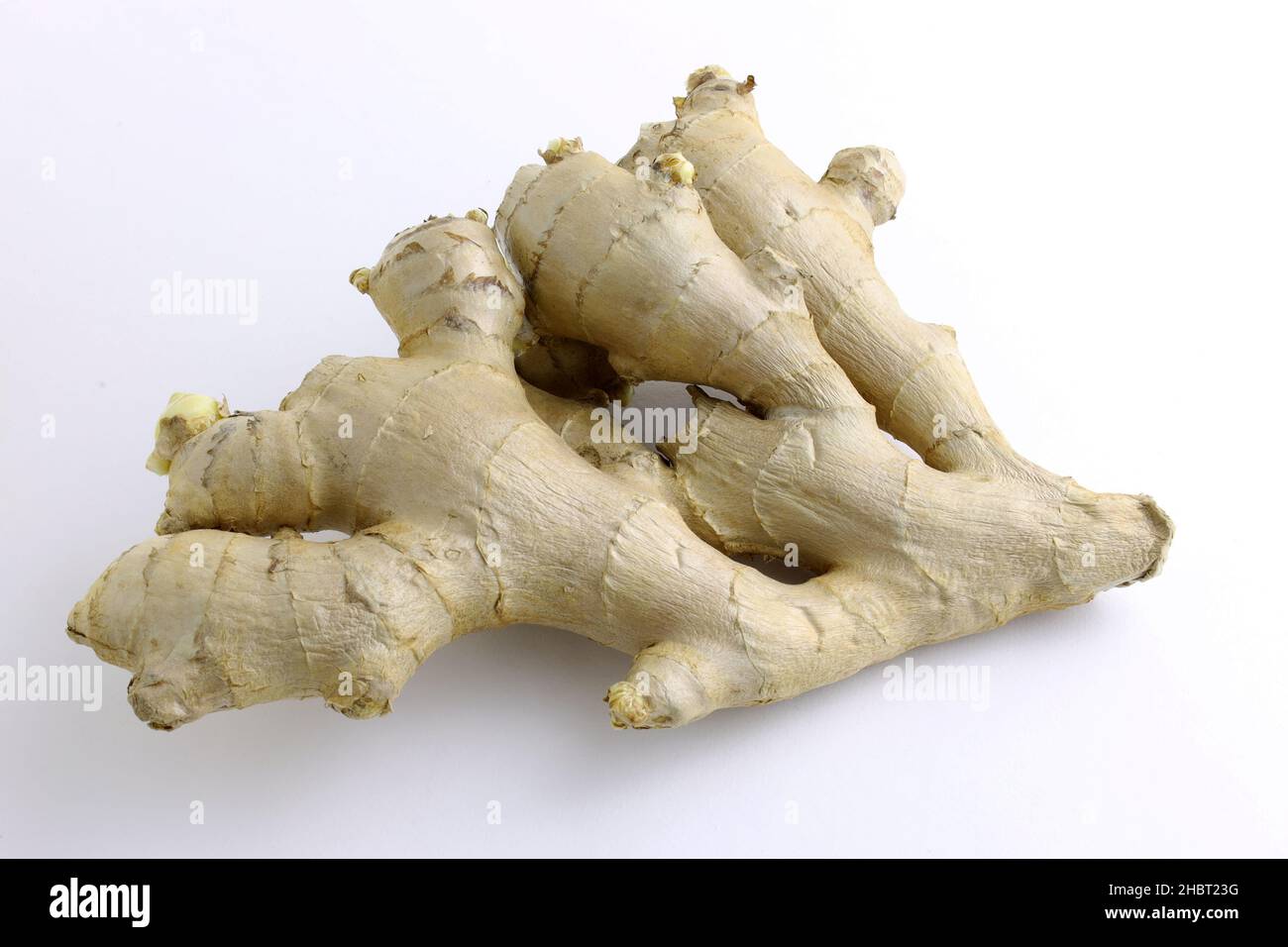 Ginger plant close up view hi-res stock photography and images - Alamy