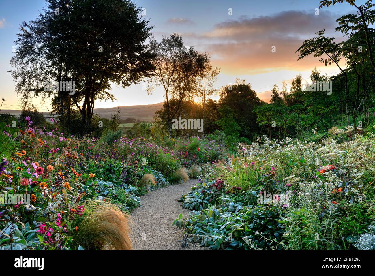 pre dawn light,pre-dawn light,sunrise in the garden,mixed bed,border ...