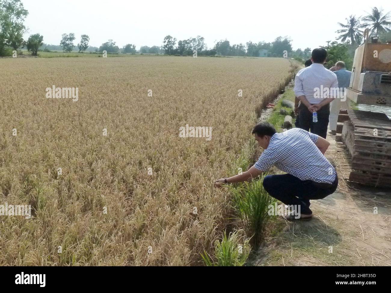 Tra vinh hi-res stock photography and images - Alamy