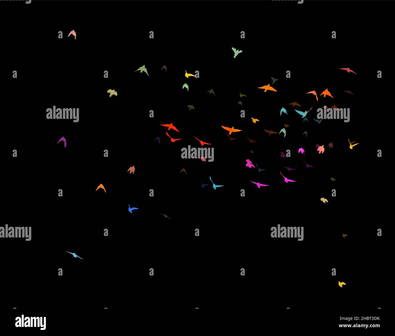 Colorful flying birds On a black background . Birds migrating to the ...