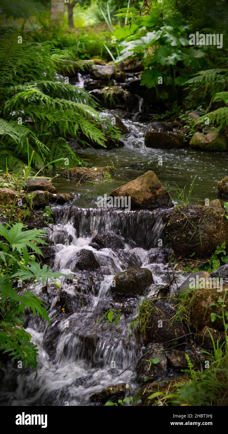 Little creek in stone mountain hi-res stock photography and images - Alamy