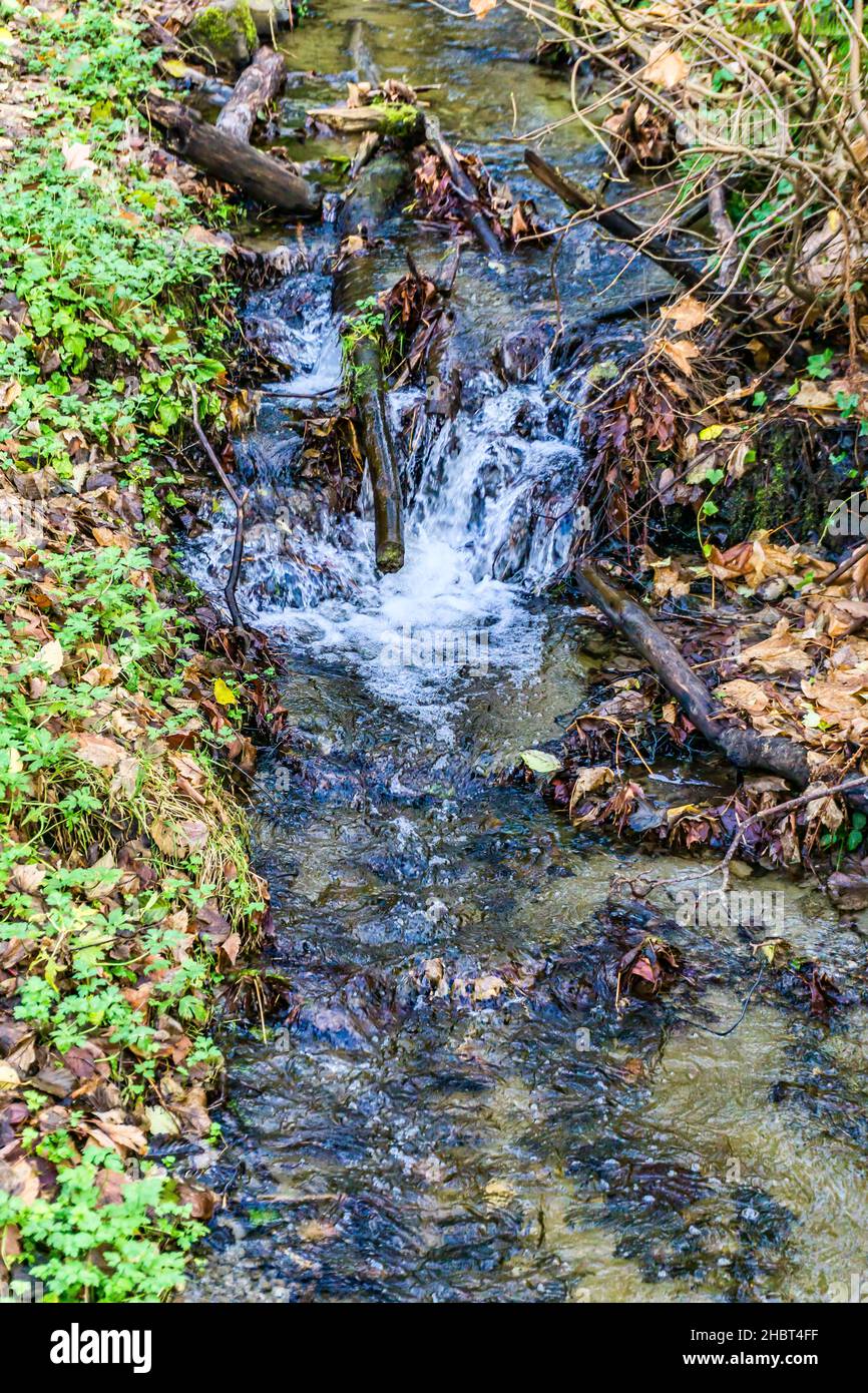 Small wa hi-res stock photography and images - Alamy