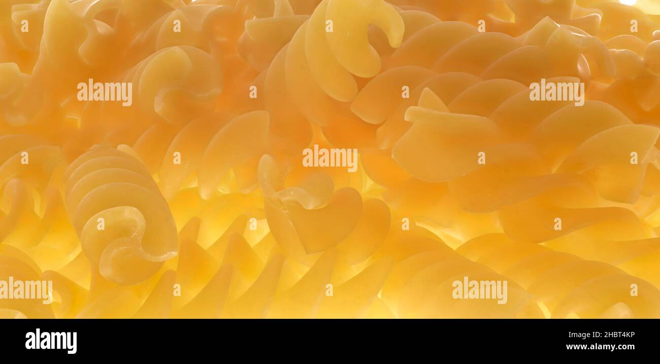 Macro food still life of Fusilli, fuˈzilli, pasta on plain background ...