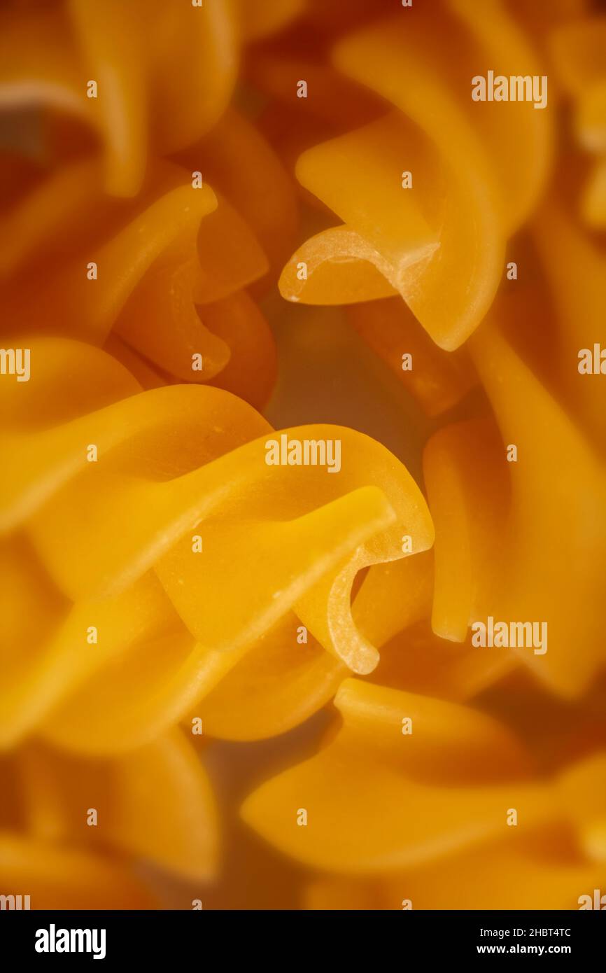 Macro food still life of Fusilli, fuˈzilli, pasta on plain background ...