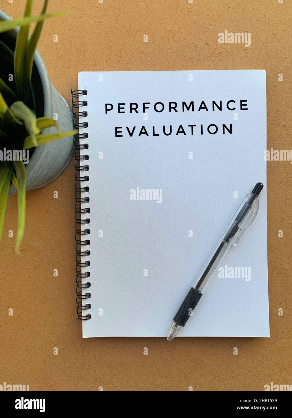 Performance evaluation text on a note pad with pen and plant background ...