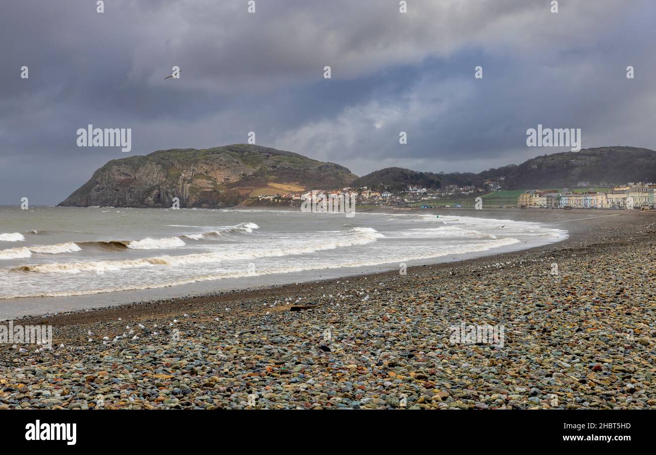 The Little Orme and Llandudno Bay on a stormy winter's day, North Wales ...