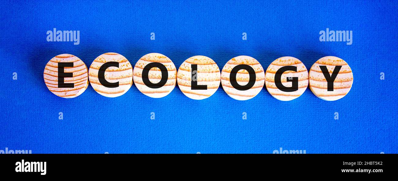 Ecology symbol. The concept word Ecology on wooden circles. Beautiful ...