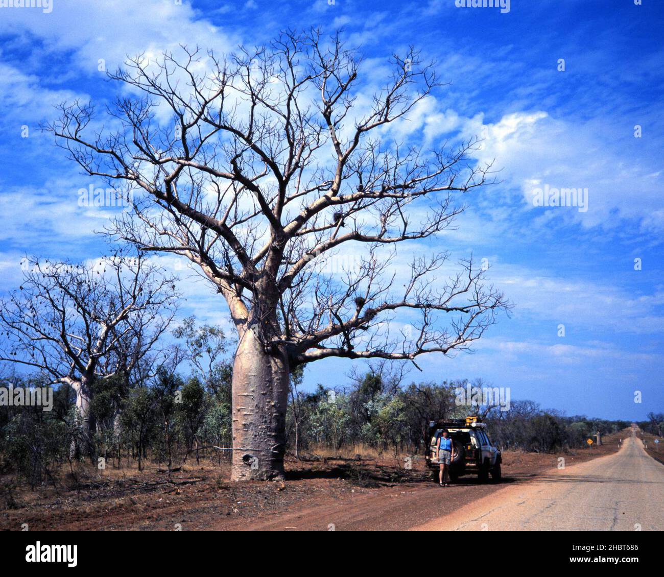 Historical boab tree hi-res stock photography and images - Alamy