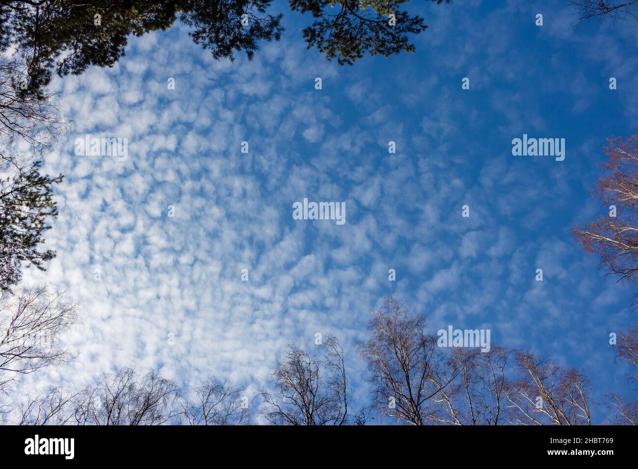 Middle altitude cloud hi-res stock photography and images - Alamy