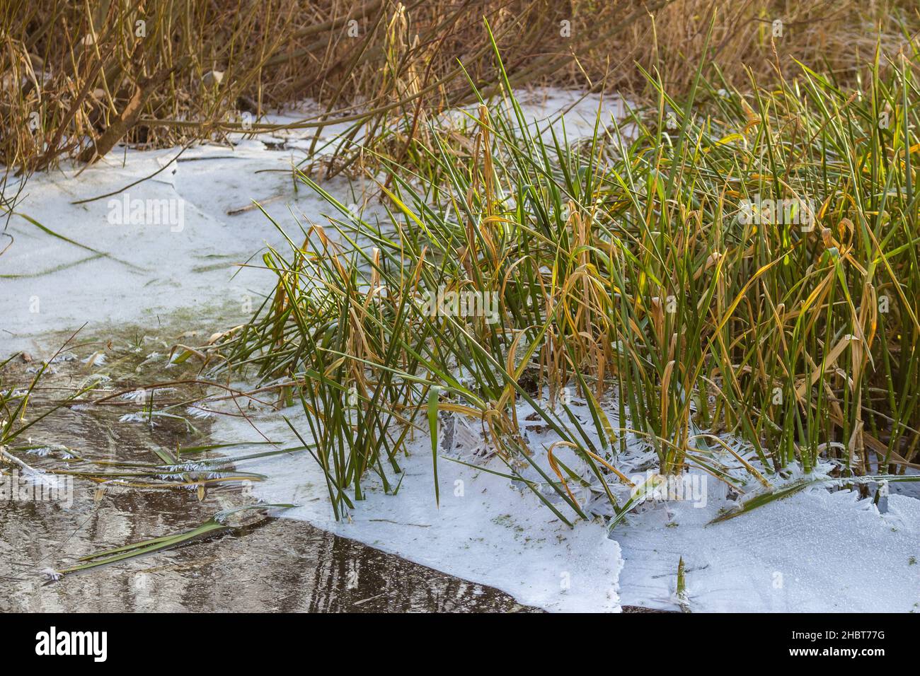 Dangerous ice hi-res stock photography and images - Alamy