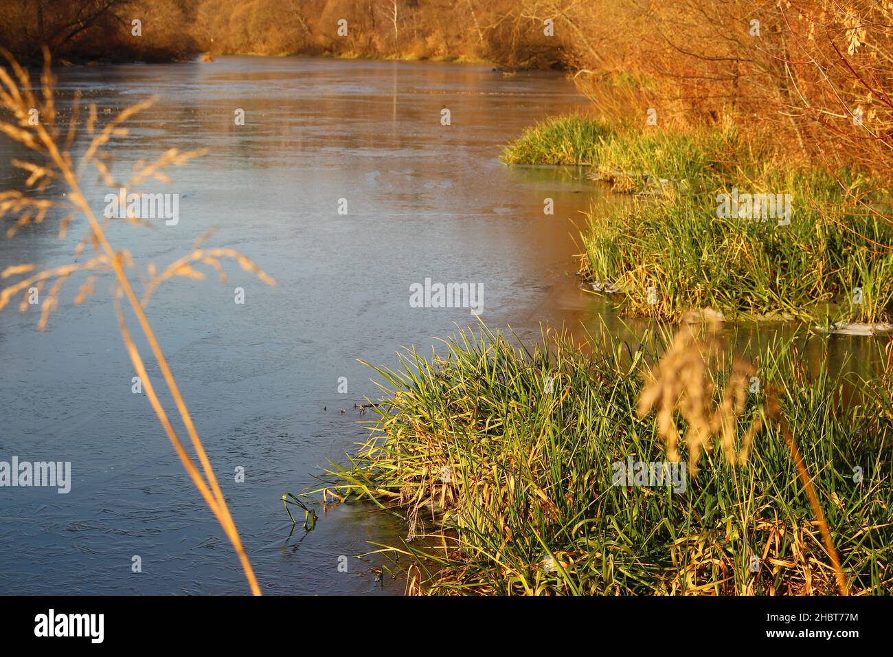 Overgrown river bank hi-res stock photography and images - Alamy