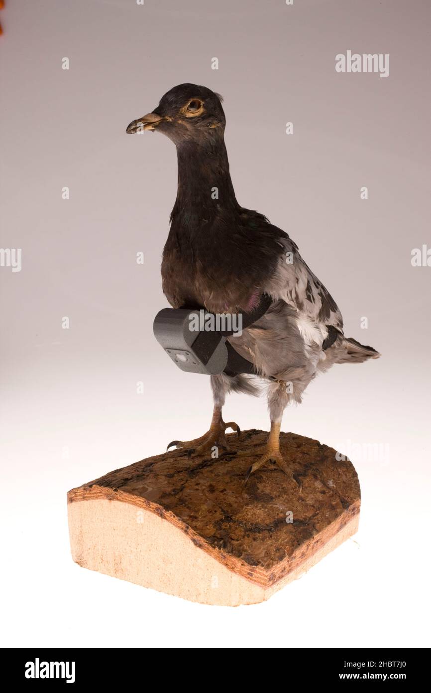 Cia inventions hi-res stock photography and images - Alamy