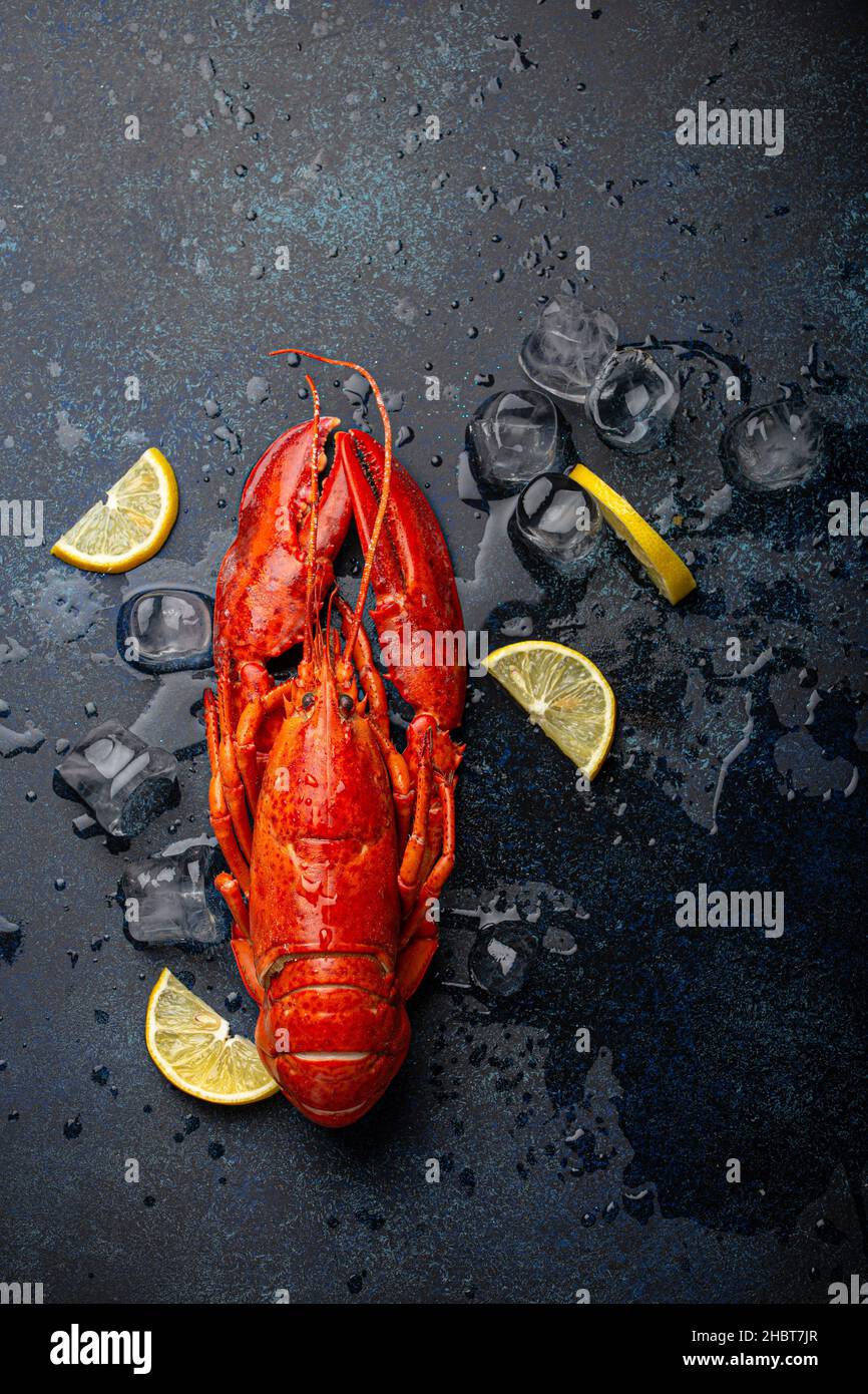 Lobster with lemon and ice cubes top view on blue stone background ...