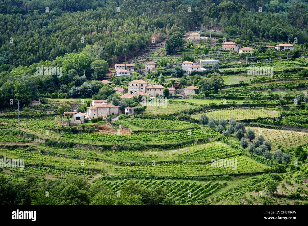 Margens do rio Tâmega Stock Photo - Alamy