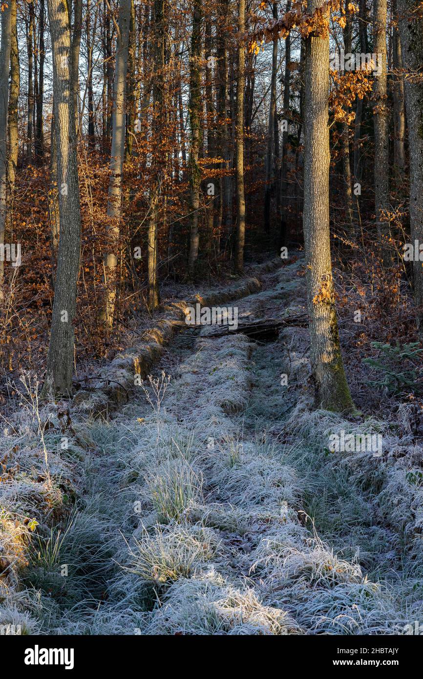 traveling on frosty paths in winter Stock Photo - Alamy