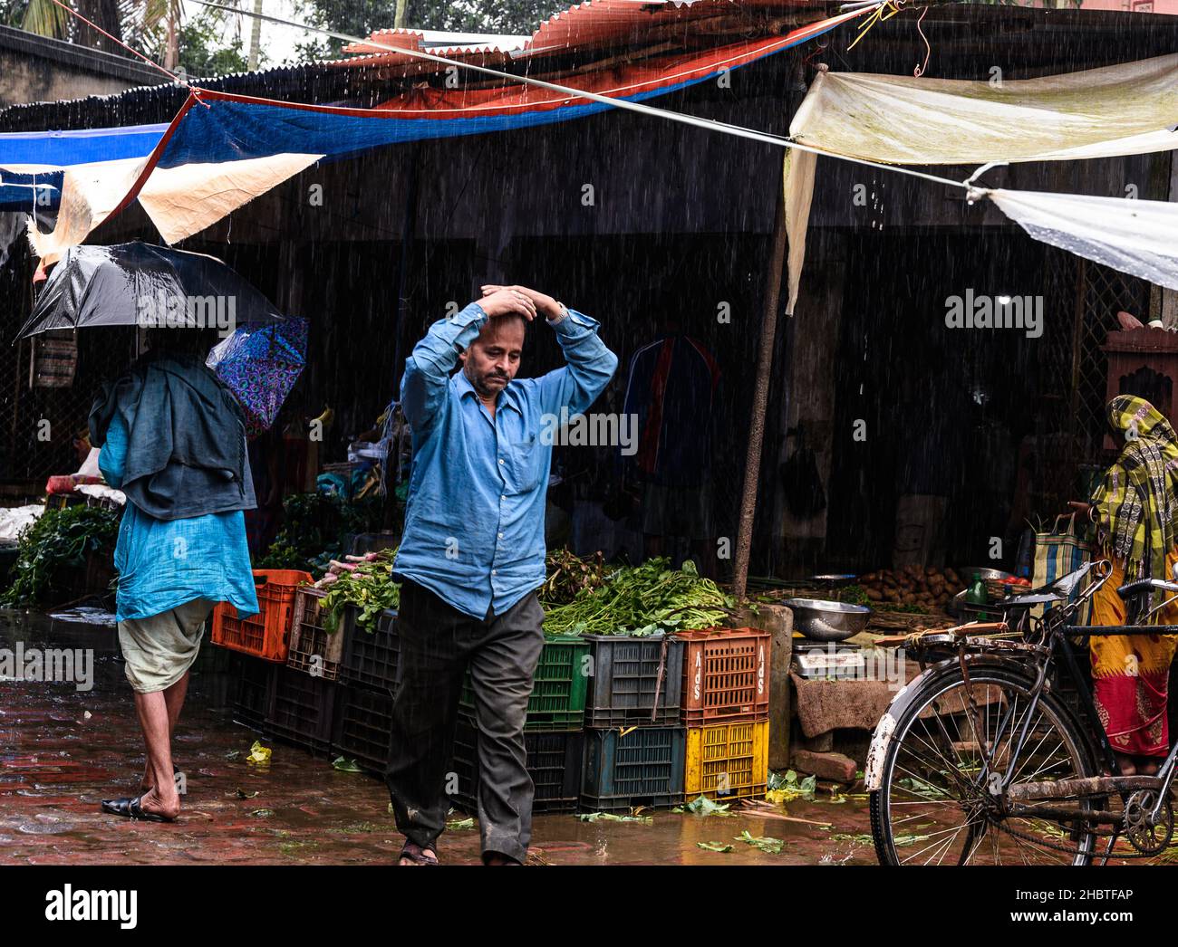 Strong winds tropical cyclone hi-res stock photography and images - Alamy