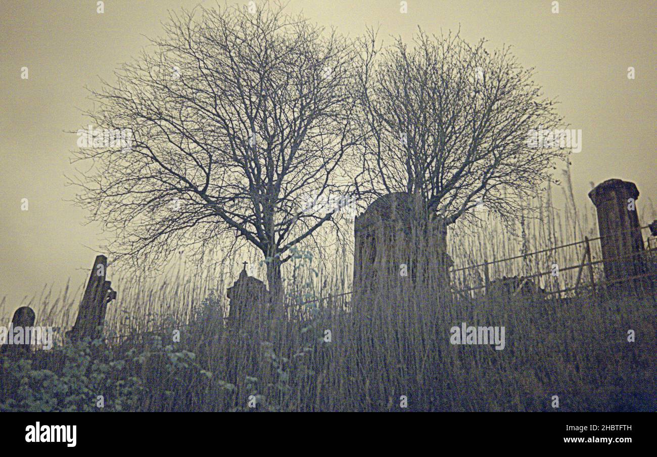 Glasgow, Scotland, UK 21st December, 2021.Tourists flock on the day of ...