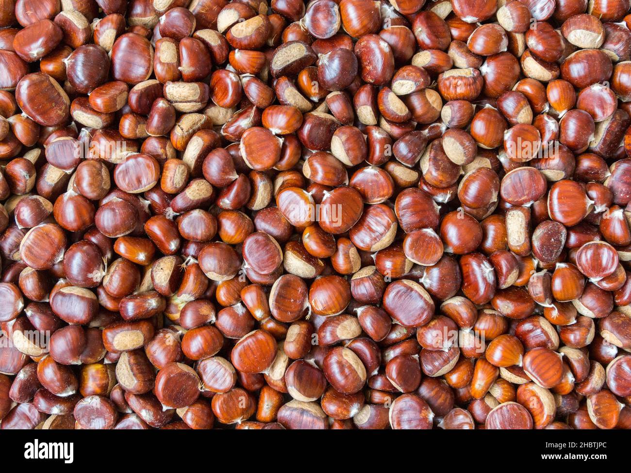 Edible chestnut in full frame as background Stock Photo - Alamy