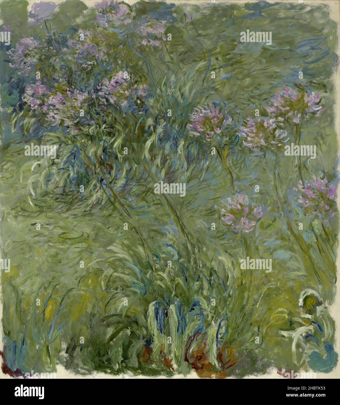 Agapanthus - 1914 26 - Oil on canvas 198,2 x 178,4 cm - Monet Claude ...