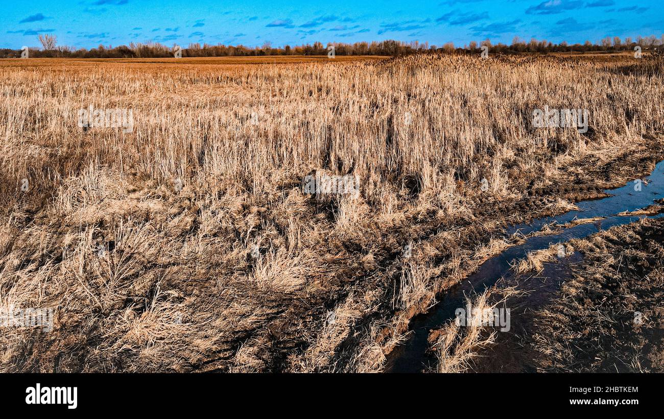 Environments hi-res stock photography and images - Alamy