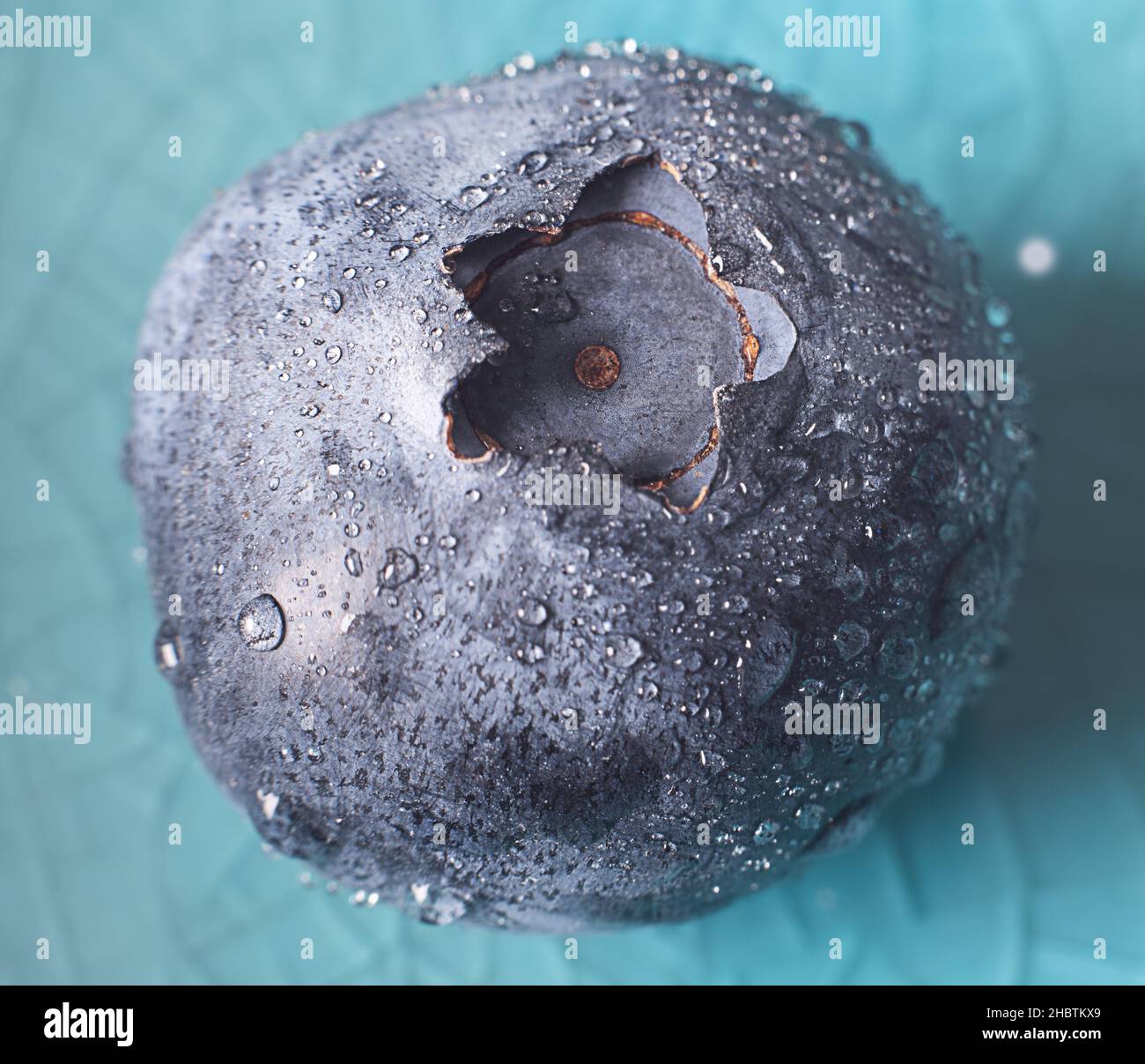 blueberry close up with water drops Stock Photo - Alamy