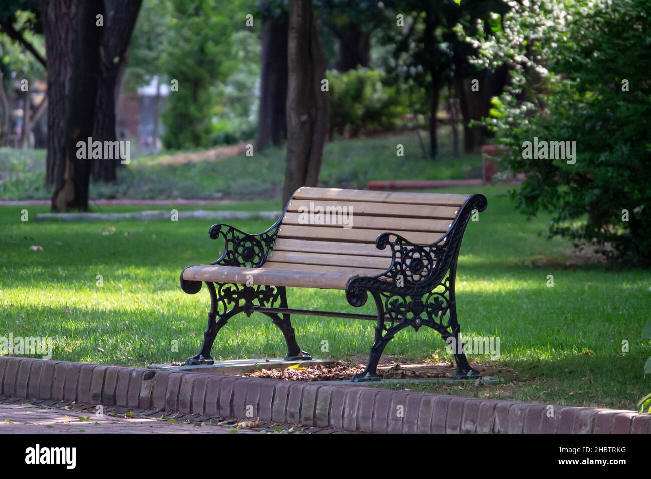 An empty wooden bench in a park in daylight Stock Photo - Alamy