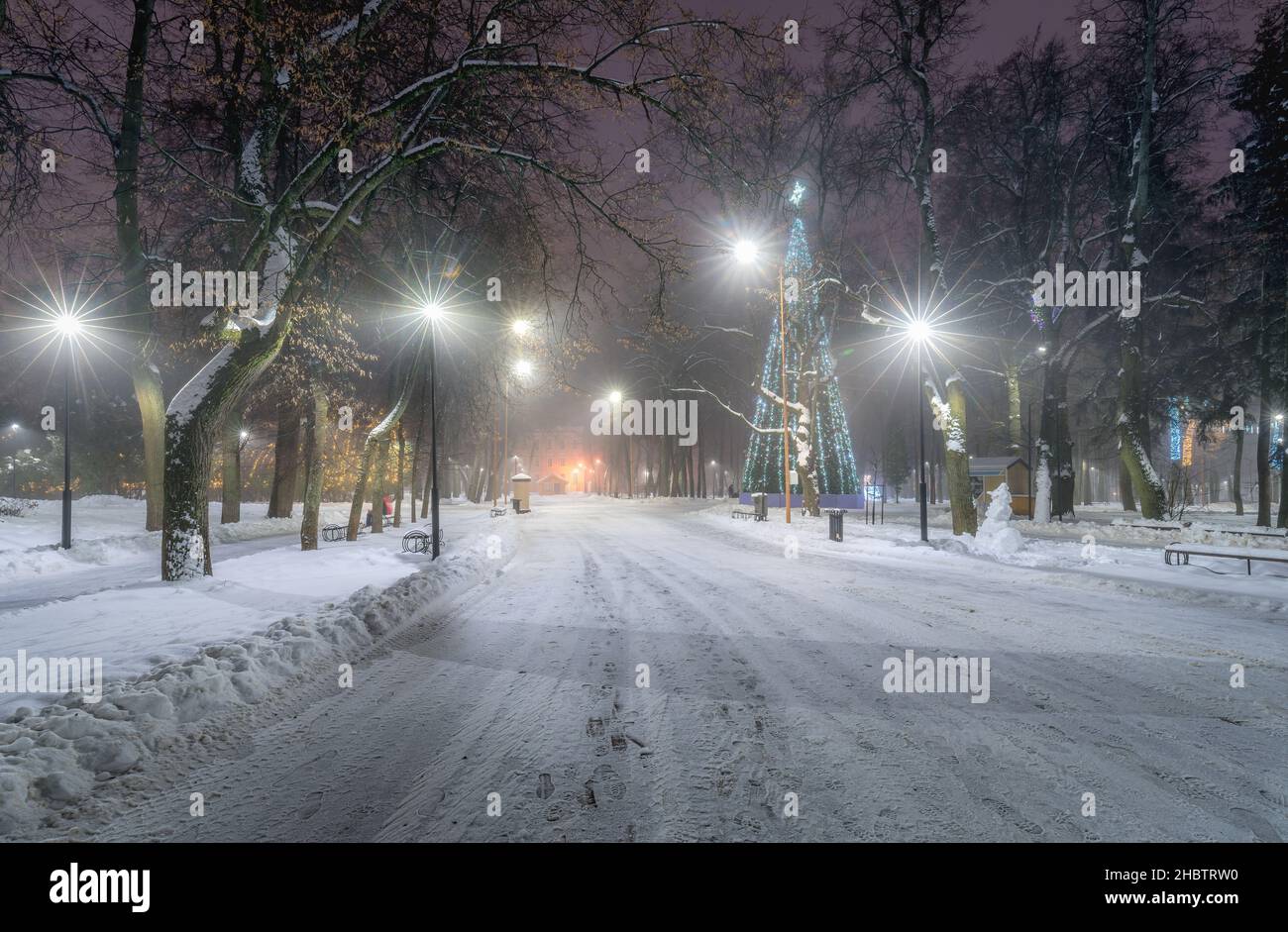First snow in a winter night park with trees, glowing lanterns and ...