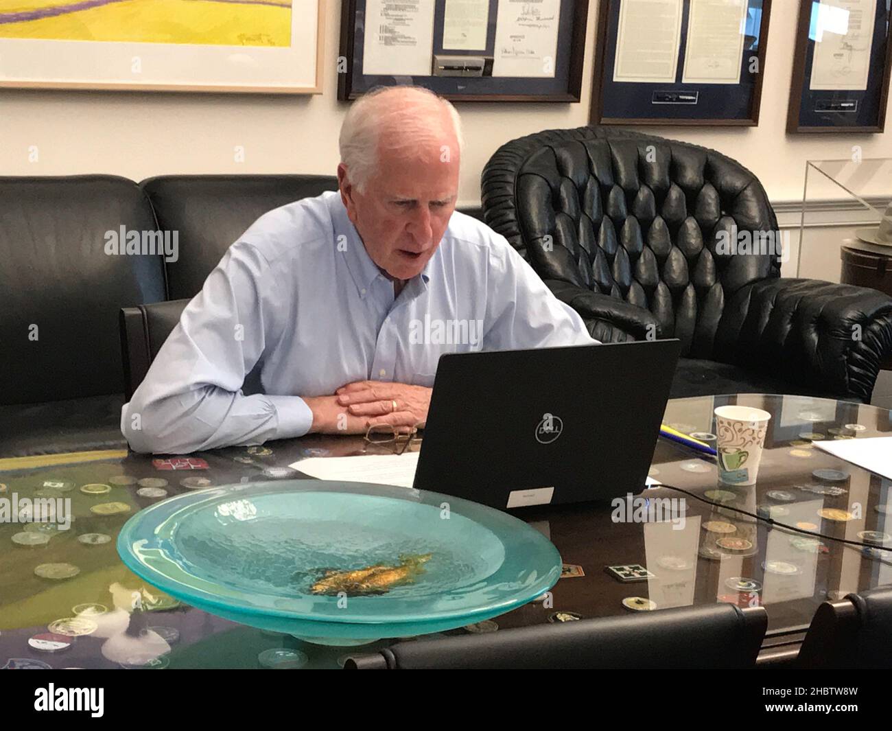 Congressman on zoom call hi-res stock photography and images - Alamy