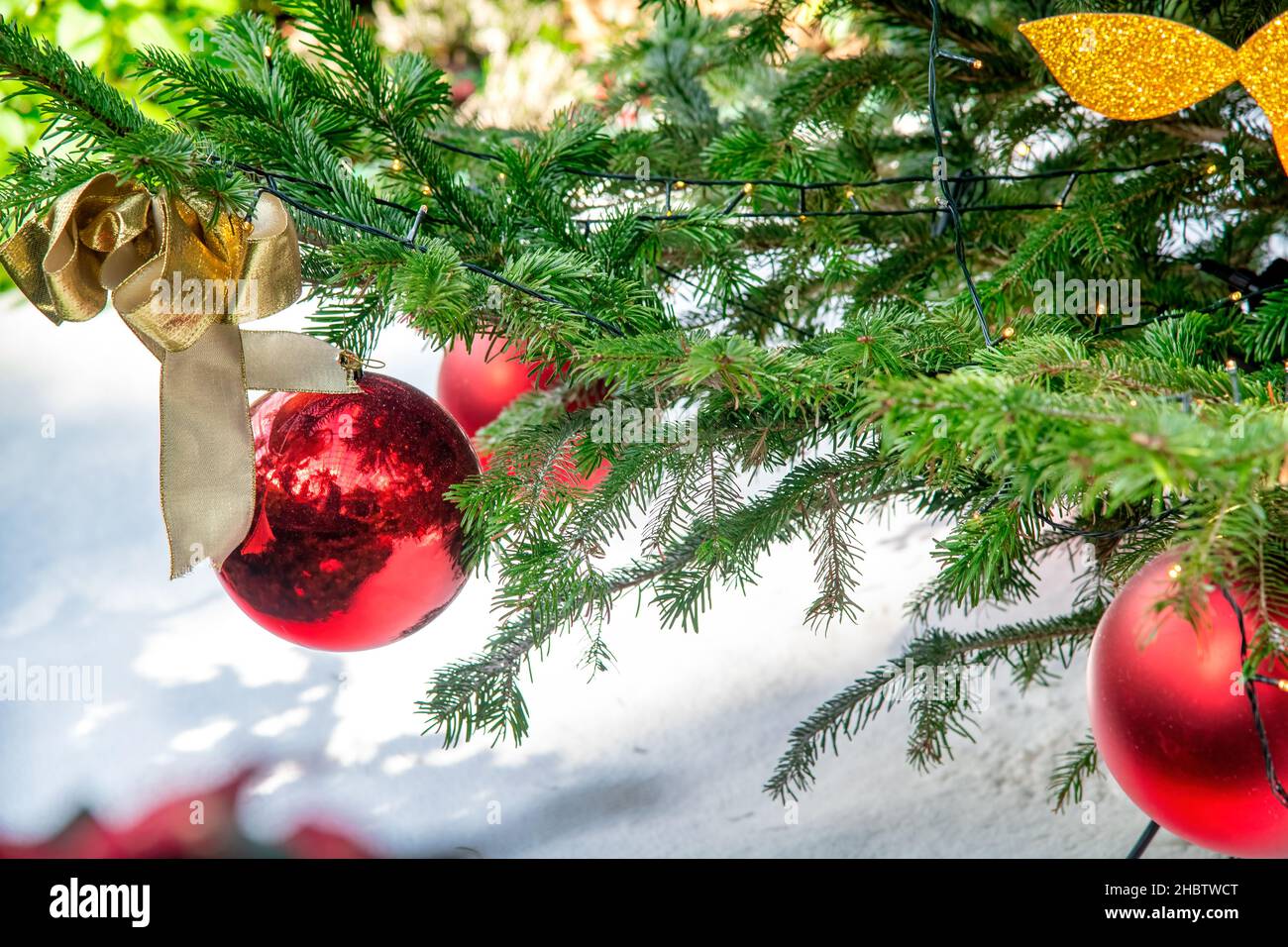Red balls on a Christmas Tree Stock Photo - Alamy