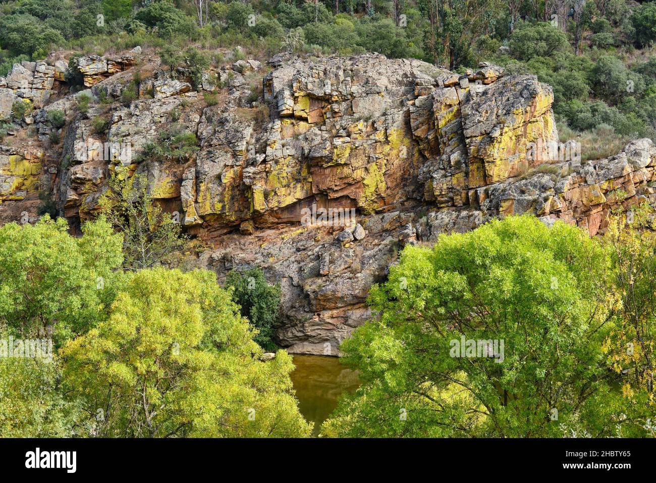 Cachao hi-res stock photography and images - Alamy