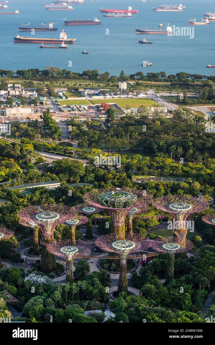 Supertree Grove, Gardens by the Bay and the Singapore Strait, Singapore ...