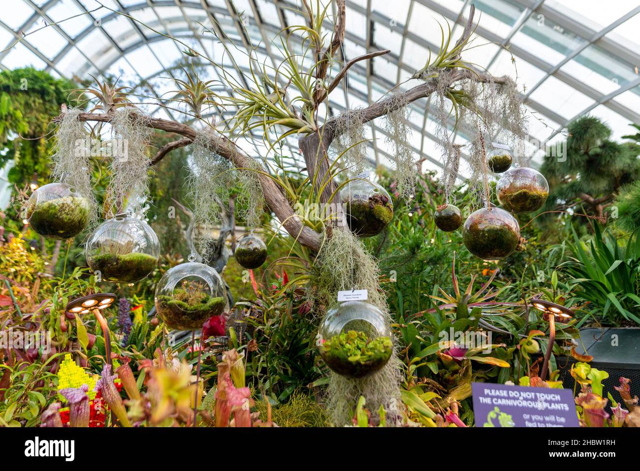 Cloud forest, Gardens by the Bay, Singapore Stock Photo - Alamy