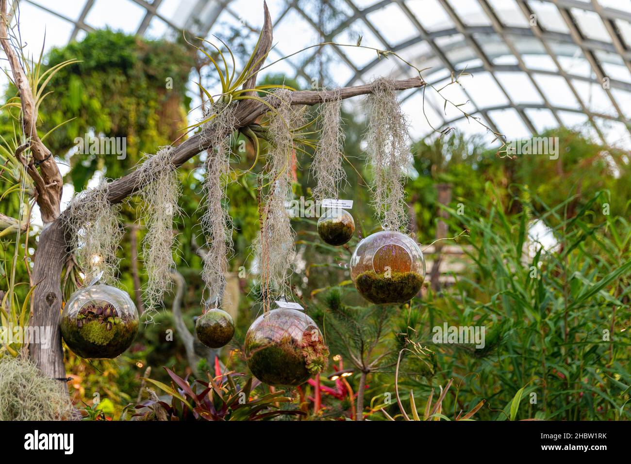 Cloud forest, Gardens by the Bay, Singapore Stock Photo - Alamy