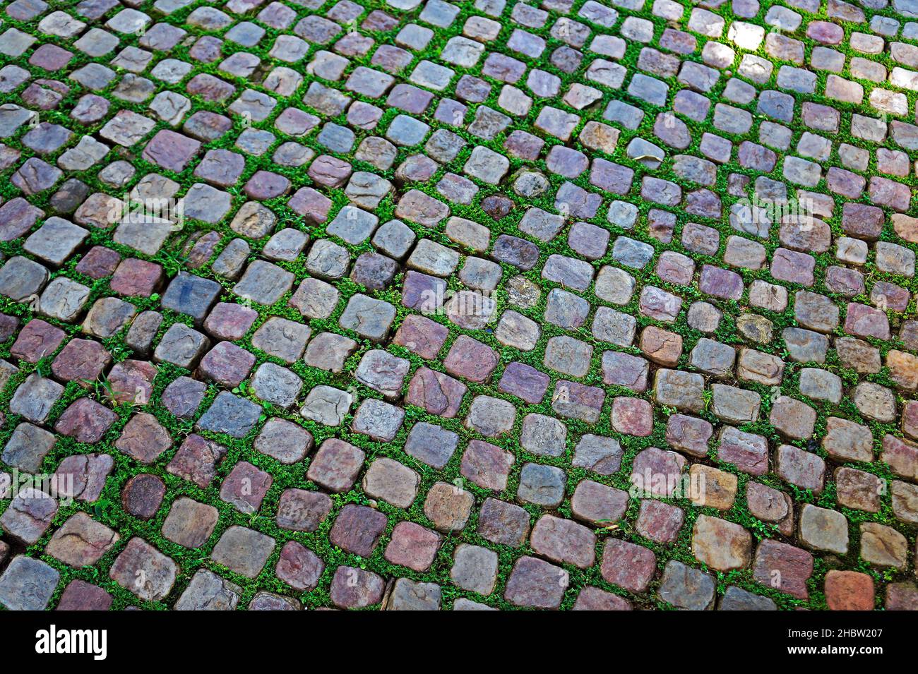 Cobblestone background with moss Stock Photo - Alamy