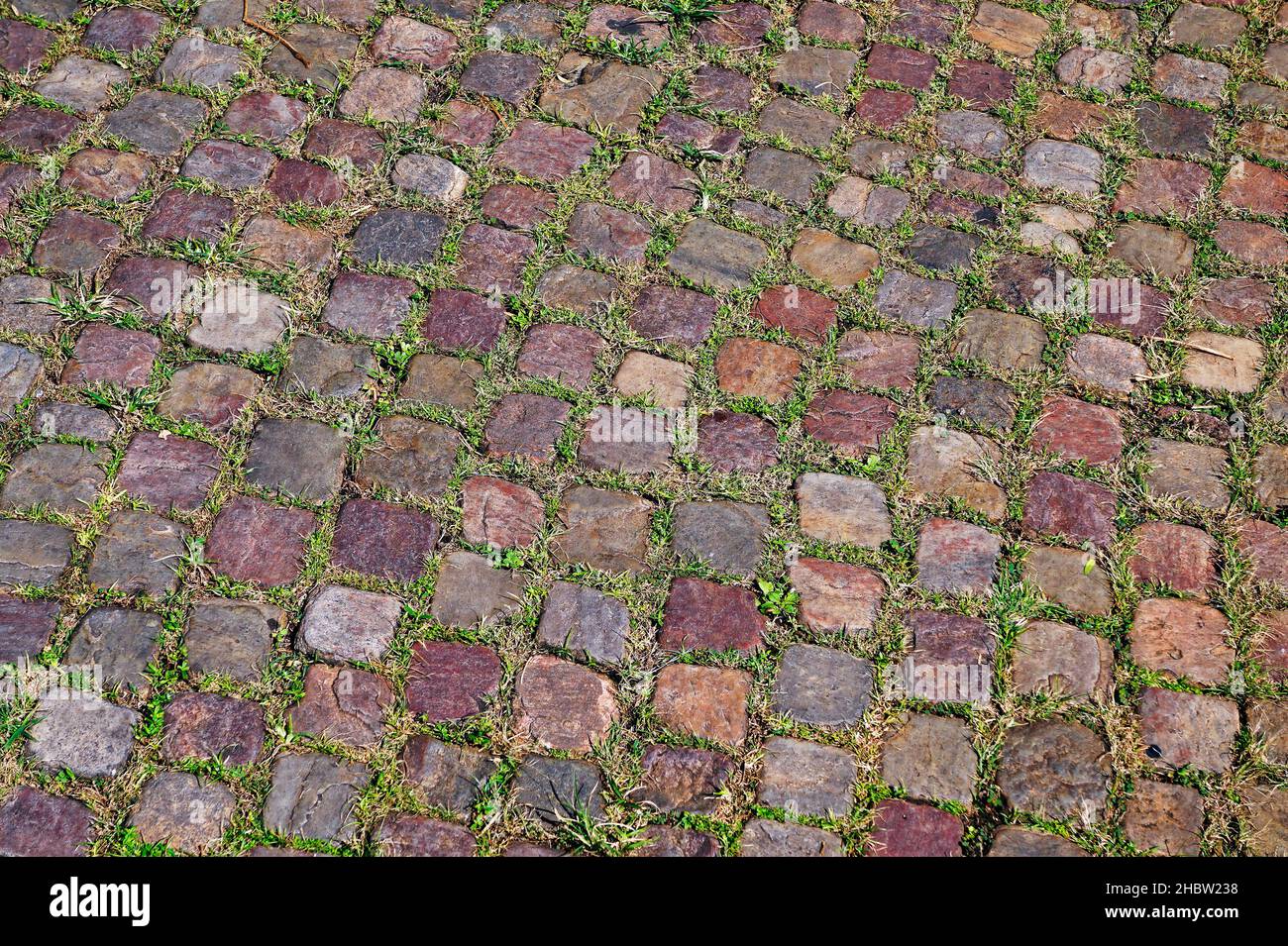 Cobblestone background with moss Stock Photo - Alamy
