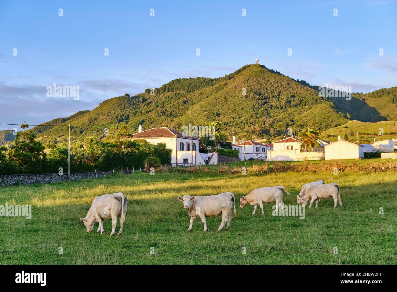 Traditional portuguese farm houses hi-res stock photography and images ...