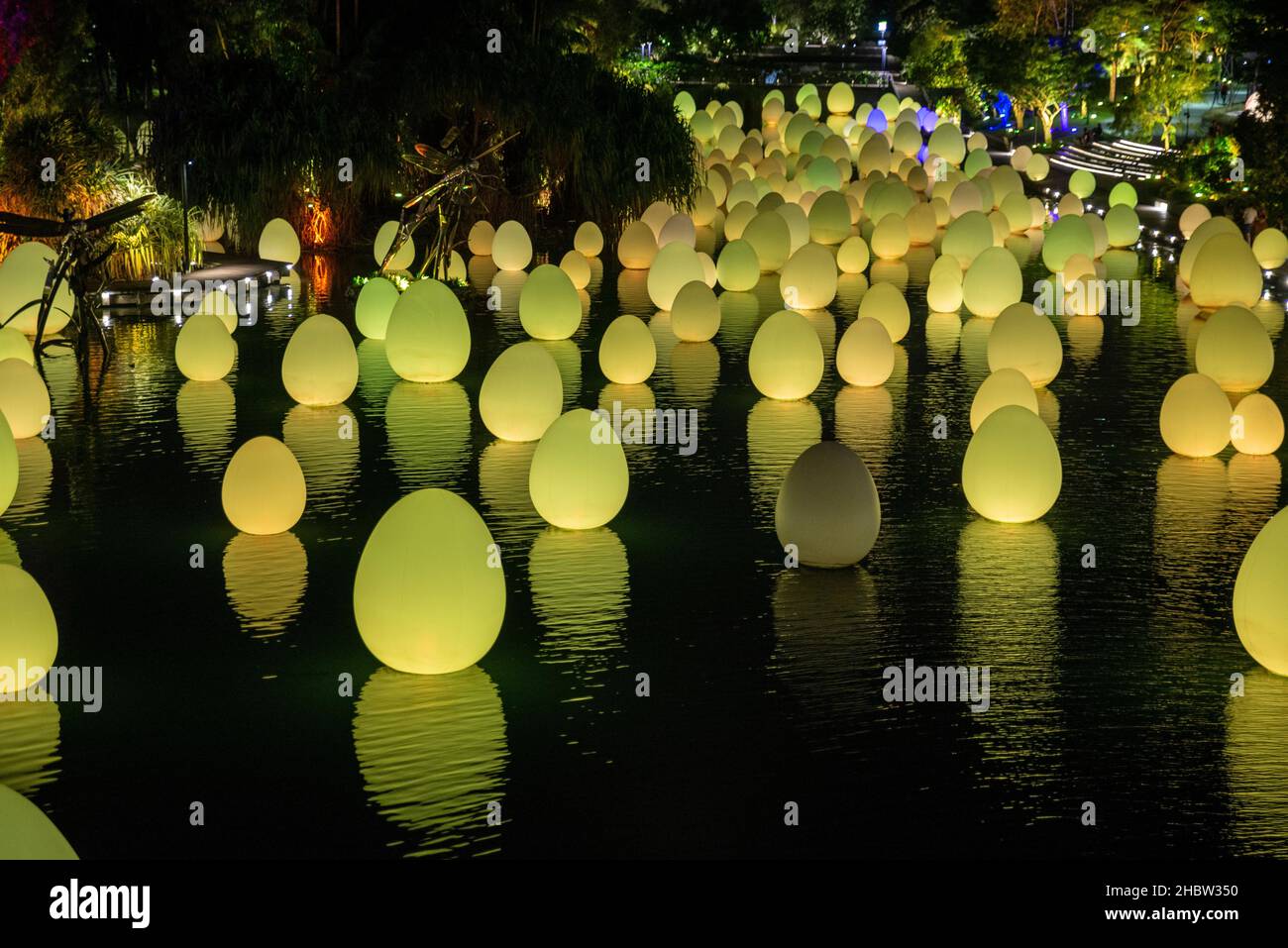 Autonomous resonating life on the water and resonating trees hi-res ...
