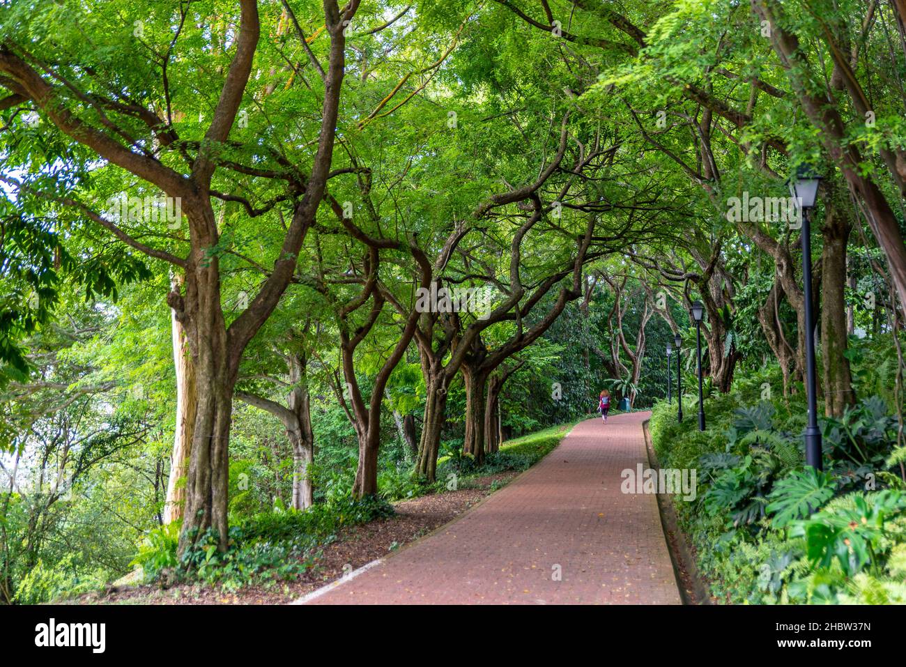 Fort Canning Park, Singapore Stock Photo - Alamy