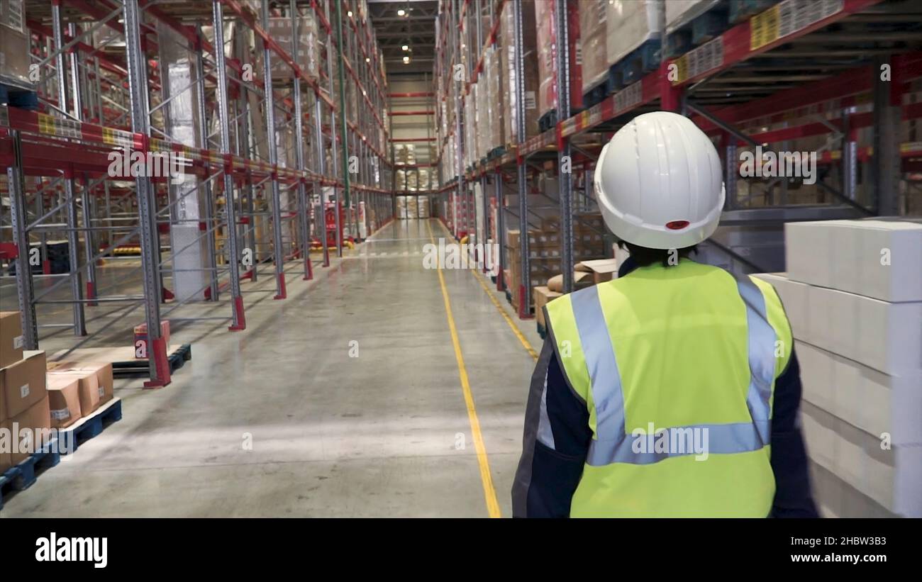 Back view portrait of warehouse manager and worker in hardhats doing ...