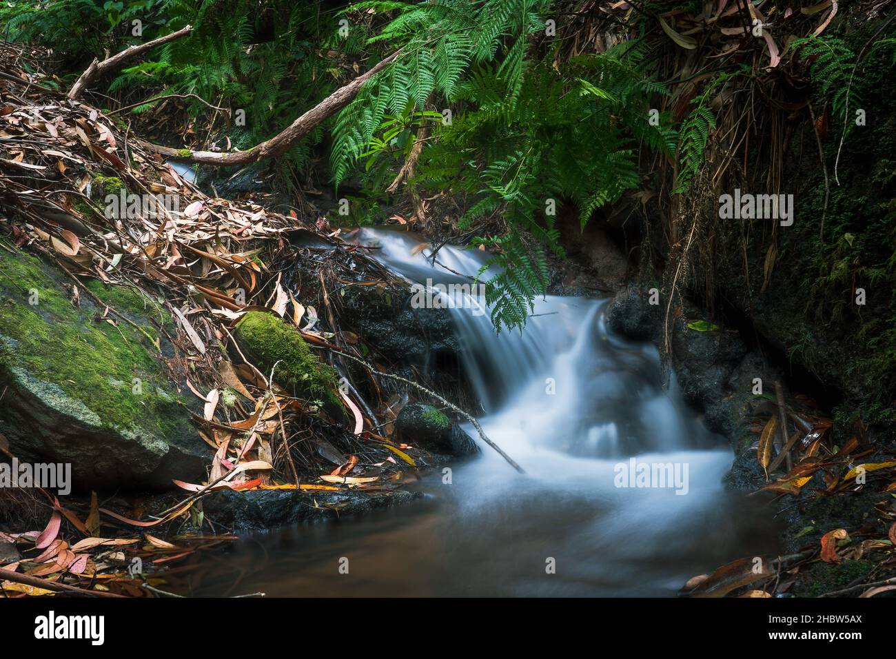 Mini waterfall garden hi-res stock photography and images - Alamy