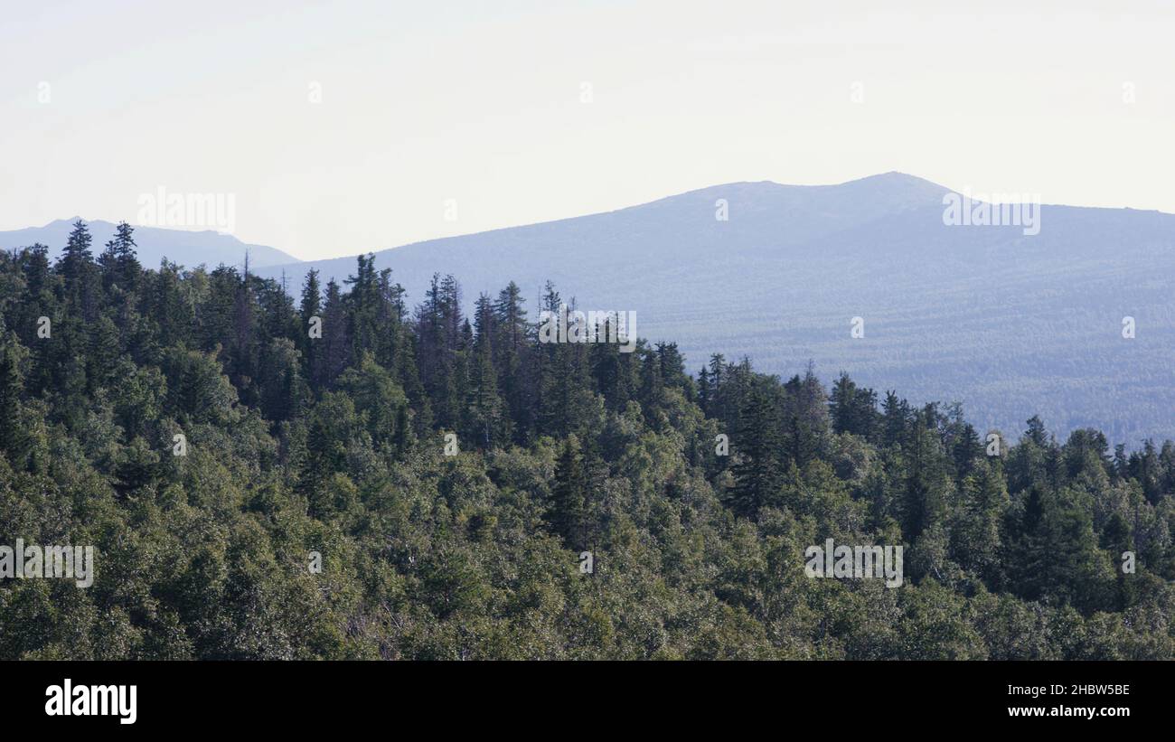 Majestic panorama of green mountains with sunny beams. Mountains in ...