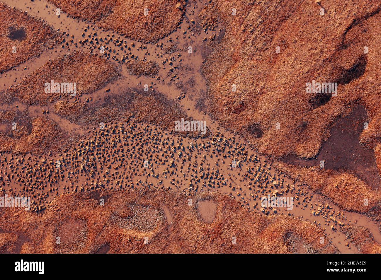 Wetland landscape hi-res stock photography and images - Alamy