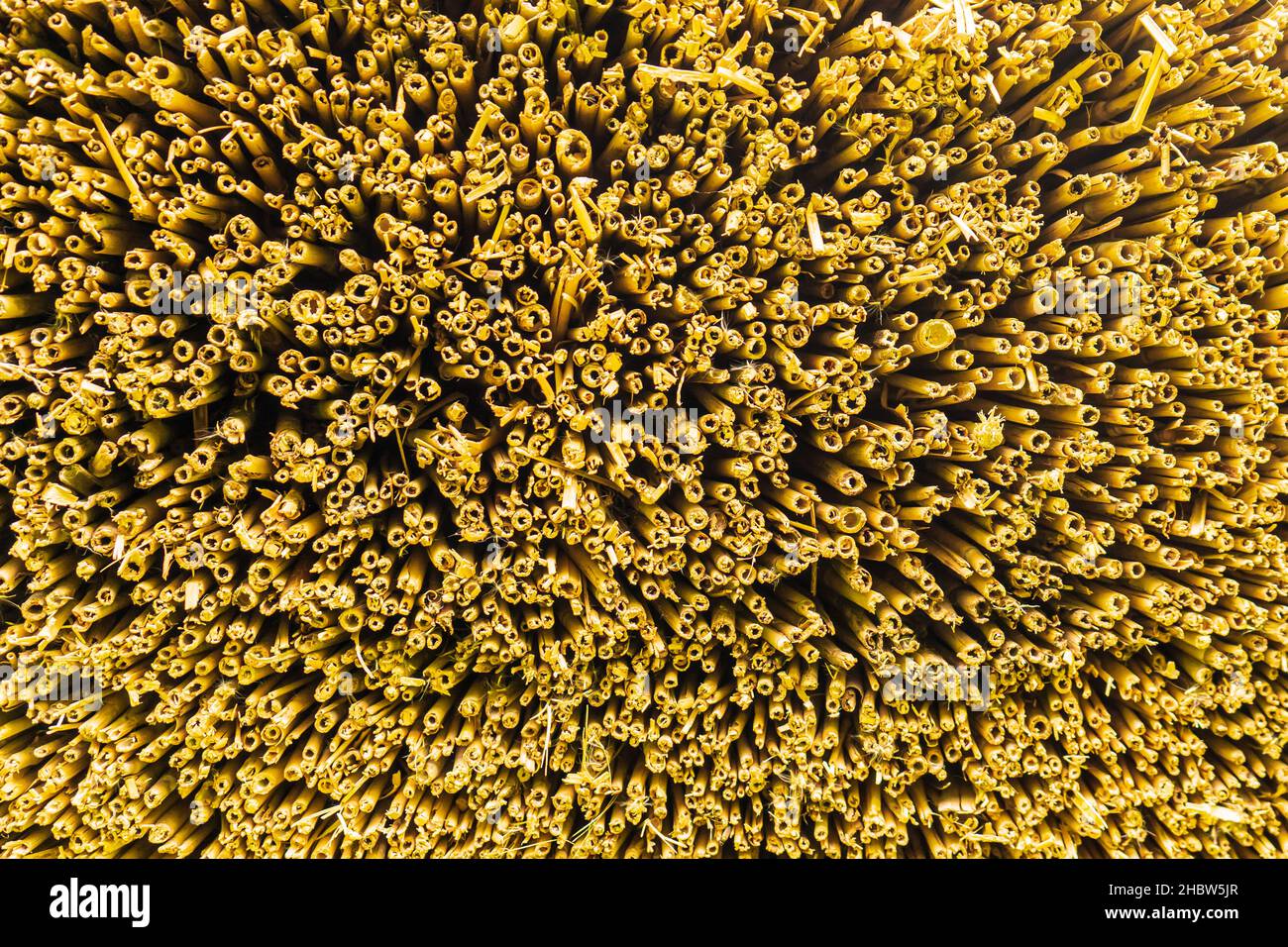 Rice plant roof hi-res stock photography and images - Alamy