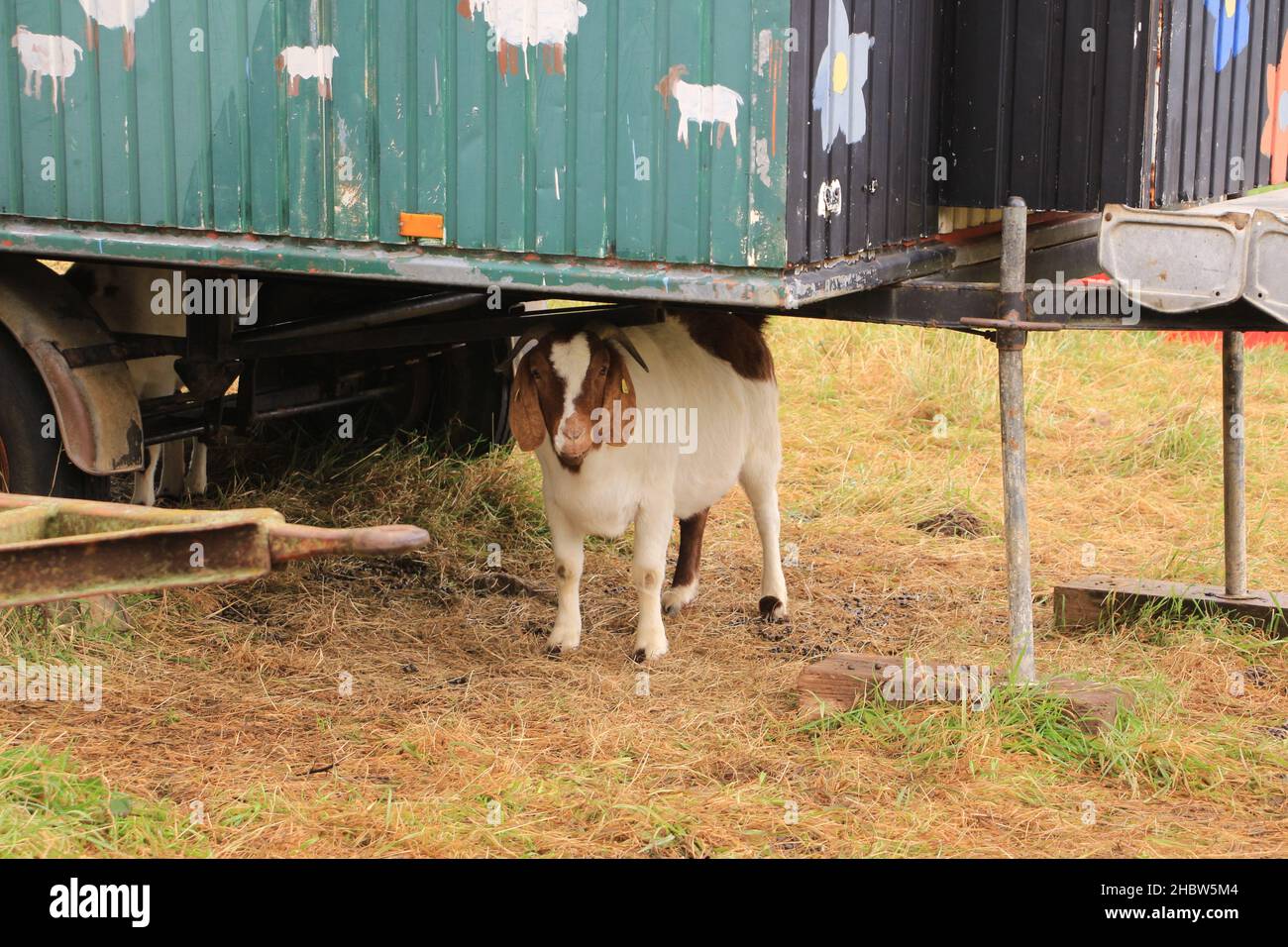 Bilder aus Karben in Hessen Stock Photo - Alamy