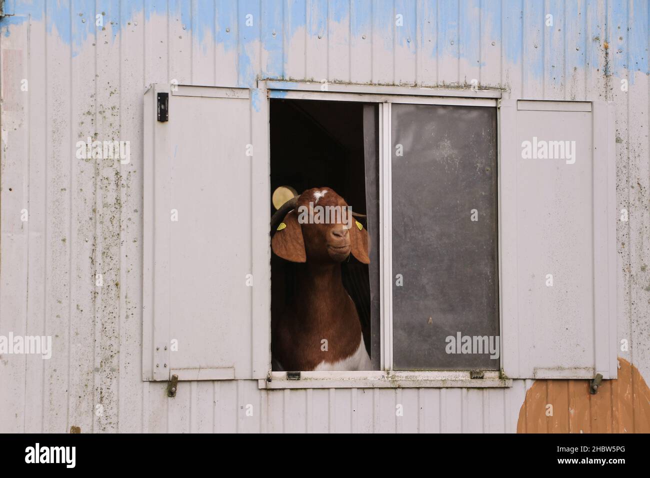Bilder aus Karben in Hessen Stock Photo - Alamy