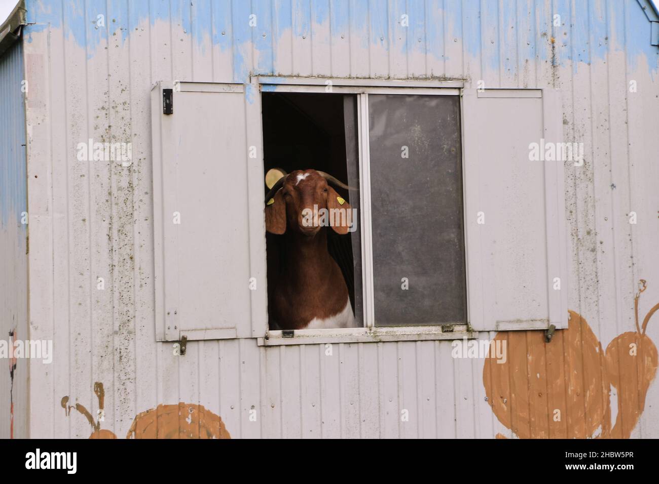 Bilder aus Karben in Hessen Stock Photo - Alamy